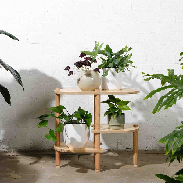 KittaPlanta - Like Butter Pty Ltd